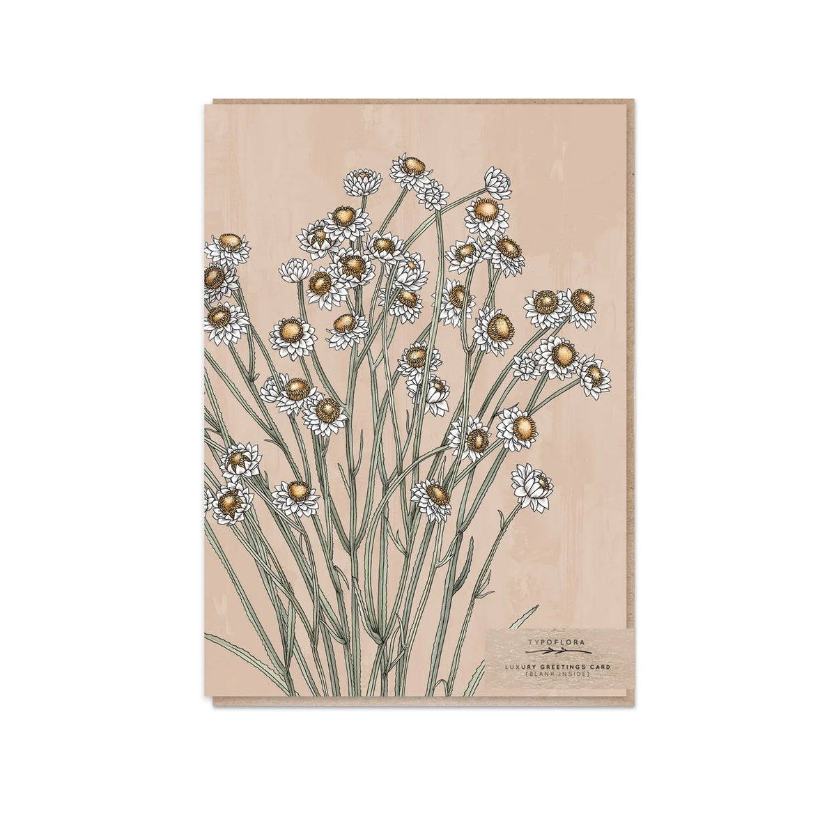 Everlasting Daisy (Blank) - Greeting Card – Blume Hütte